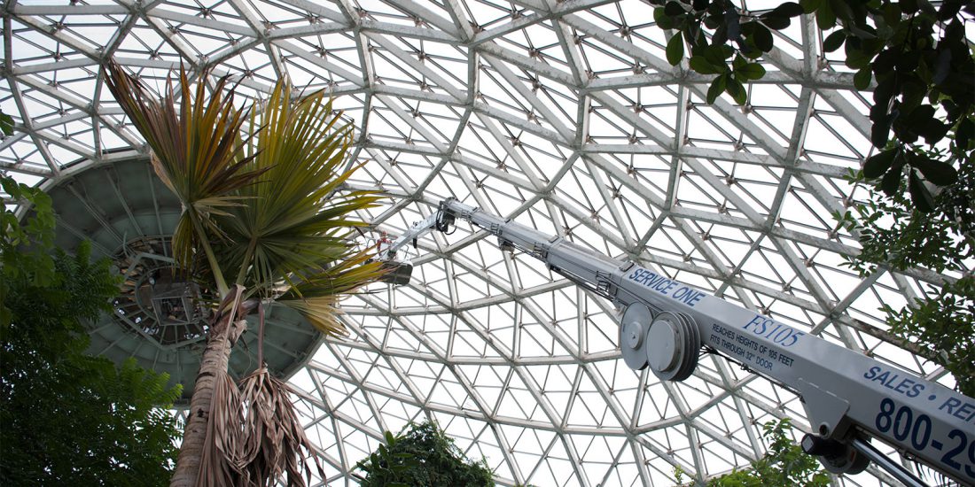 Lifts Specifications and Comparison | Reach-Master – Falcon Spider Lifts